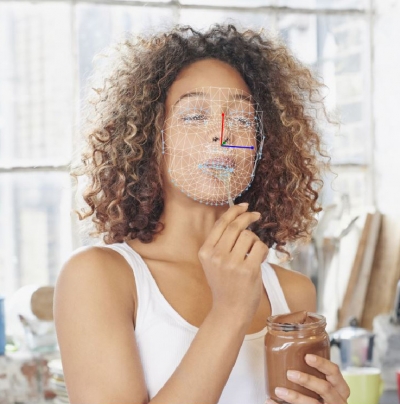 FaceReader : 얼굴표정 자동 분석